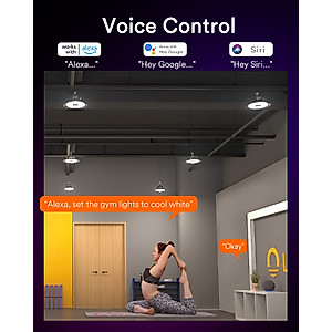 Lumary Hub Bridge L-GW0A1 - Work Zigbee Smart Recessed Lighting, Unlock Full Suite of Features Smart UFO LED High Bay Lights, Deck Lights, Work with Alexa, Google Assistant and Siri