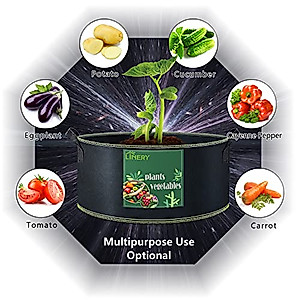 LINERY 1-Pack 50 Gallon Planting Bag Black Heavy Duty Thickened Large Capacity Upgrade Hemming Process Grow Bag with Handles Non-Woven Fabric Plant Pots (【1-50 G】)