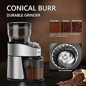 Homtone Electric Coffee Grinder Conical Burr, Adjustable Stainless Steel Burr Coffee Grinder with 14 Precise Grind Setting, 12 Cup Coffee Grinder for Espresso, Drip Coffee, French Press