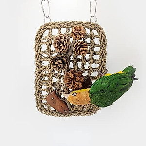 Bird Foraging Wall Toy Parrot Chewing Hanging Hook Toys Woven Climbing Hammock Mat Bird Climbing Net Climbing Cotton Rope Net Hanging Bird Climbing Rope