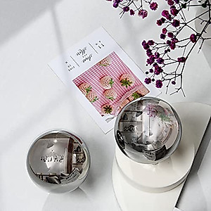 MerryNine 304 Stainless Steel Gaze Ball, Mirror Polished Hollow Ball, Reflective Decorative Ball for Outdoor Garden, Pond, Indoor Furniture Decoration (3, 3 Inch)