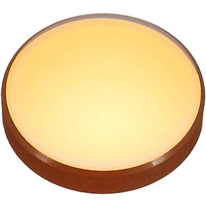 American Photonics 20mm CVD ZnSe Focus Lens for Co2 Laser Engraving Machine and Cutting Machine 10.6um Dia: 20mm FL: 63.5mm(2.5")