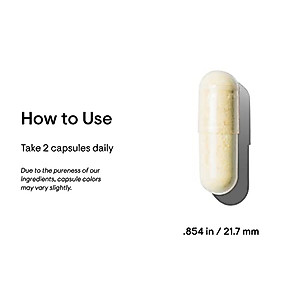 Thorne Basic Nutrients 2/Day - Comprehensive Daily Multivitamin with Optimal Bioavailability - Vitamin and Mineral Formula - Gluten-Free, Dairy-Free, Soy-Free - 60 Capsules - 30 Servings