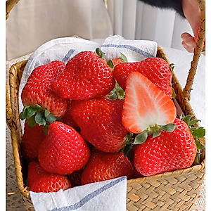 ZEshops 200pcs Cream Strawberry Seeds - Hardy Perennial Herb, Fall & Spring Planting, Vibrant Multi-Color Harvest (Red Strawberry)