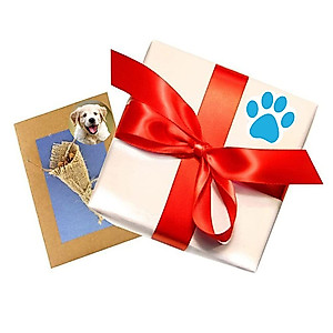 1000 Pieces Dog Stickers and Paw Print Stickers for Kids Puppy Stickers for Dog Birthday Party Supplies Decorations Adorable Labels Envelope Seal Reward Stickers 1 Inch Diameter in 14 Designs