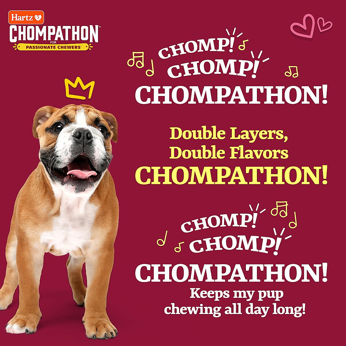 Hartz New Chompathon Gripper Bone Dog Chew Toy for Aggressive Chewers, Double Layered Flavored with Chicken & Bacon