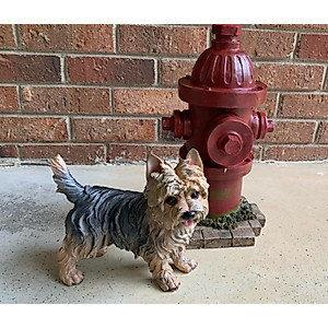 WANLIAN Dog Sculptures Simulation Dog Ornaments Dog Statue Living Room Home Furnishings Outdoor Garden Decorations Yard Decorations - Resin Dog Sculpture (Yorkshire Terrier Statue)