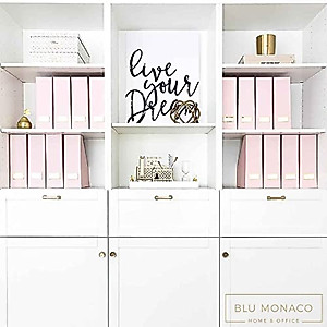 BLU MONACO Set of 6 Foldable Pink Cute Magazine Holders with Gold Label Holders - Stylish Magazine Storage for Desk, Shelves, and Closets - Book Bins, Files Organizers and Document Storage