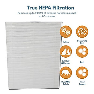 Filter-Monster 115115 True HEPA Replacement Filter A Combo Compatible with Winix Plasmawave Series Air Purifier Models 6300, P300, 5300, 5500, 5300-2, 6300-2, C535