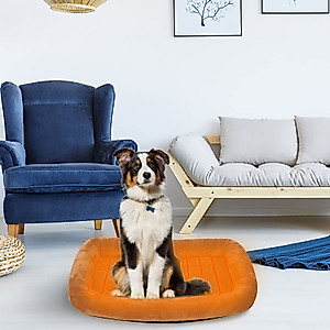 Dog Bed Calming Dog Beds for Small Dogs Deals of The Day Kitten Beds for Indoor Kittens Washable Cat Bed Self Warming Faux Fur Soft Anti Anxiety Bed for Dogs Donut Cuddler Dog Bed Cat Bed