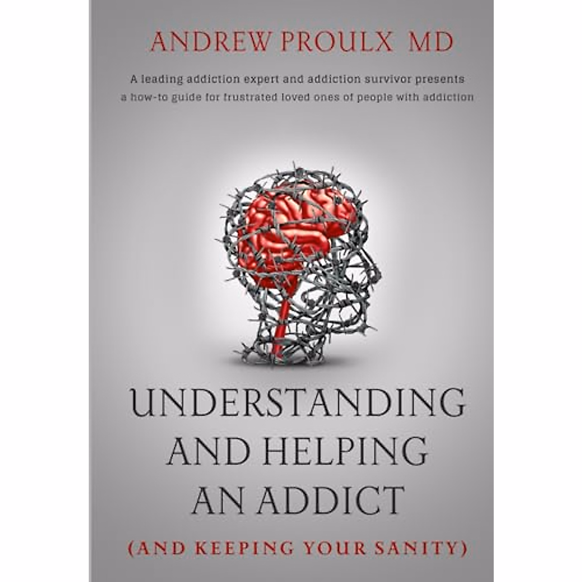 Understanding and Helping an Addict (and keeping your sanity)
