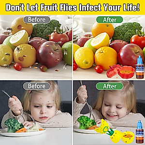 Fruit Fly Trap Refill Liquid,2024 Indoor Fruit Fly Trap for Home Kitchen,Fruit Fly Refill Liquid Only,Ready-to-Use Fruit Fly Traps for Indoors and Fruit Fly Trap Bait Refill(4 Pack)