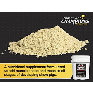 Hammer Time Nutritional Supplement for Show Pigs, 25 lb Bucket