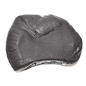 Rudrakshguru Krishna Shaligram/Madana Gopala Salagram - Gandaki River Nepal