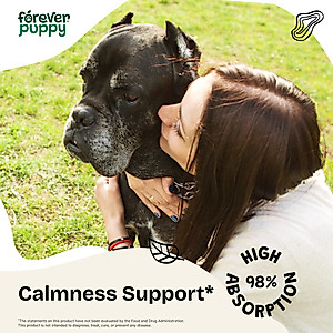 Avena Sativa Drops for Dogs - Calming Support for Dogs w/Oat Straw Herb - Herbal Alternative to Calming Chews for Dogs - Liquid Dog Vitamins for Brain Relaxation, Calm Mood & Composure - 4 oz