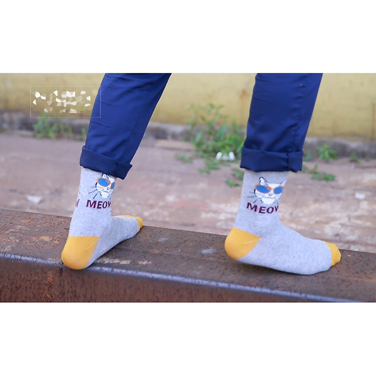 Wish Island Men's 5 Packs Animal Socks Cat Gifts Cute Fun Crazy Cotton Casual Crew Socks (Cat)