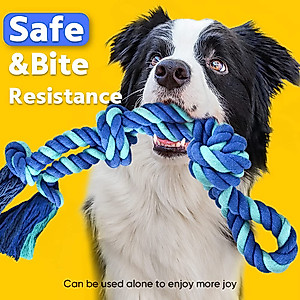 Petbobi Bungee Dog Toy, Tether Tug Outdoor Dog Toy for Pitbull Interactive & Exercise, Spring Pole Tether Tug of War Toy with Durable Rope, Outdoor Hanging Toys for Large Dogs Reduce Boredom, Blue