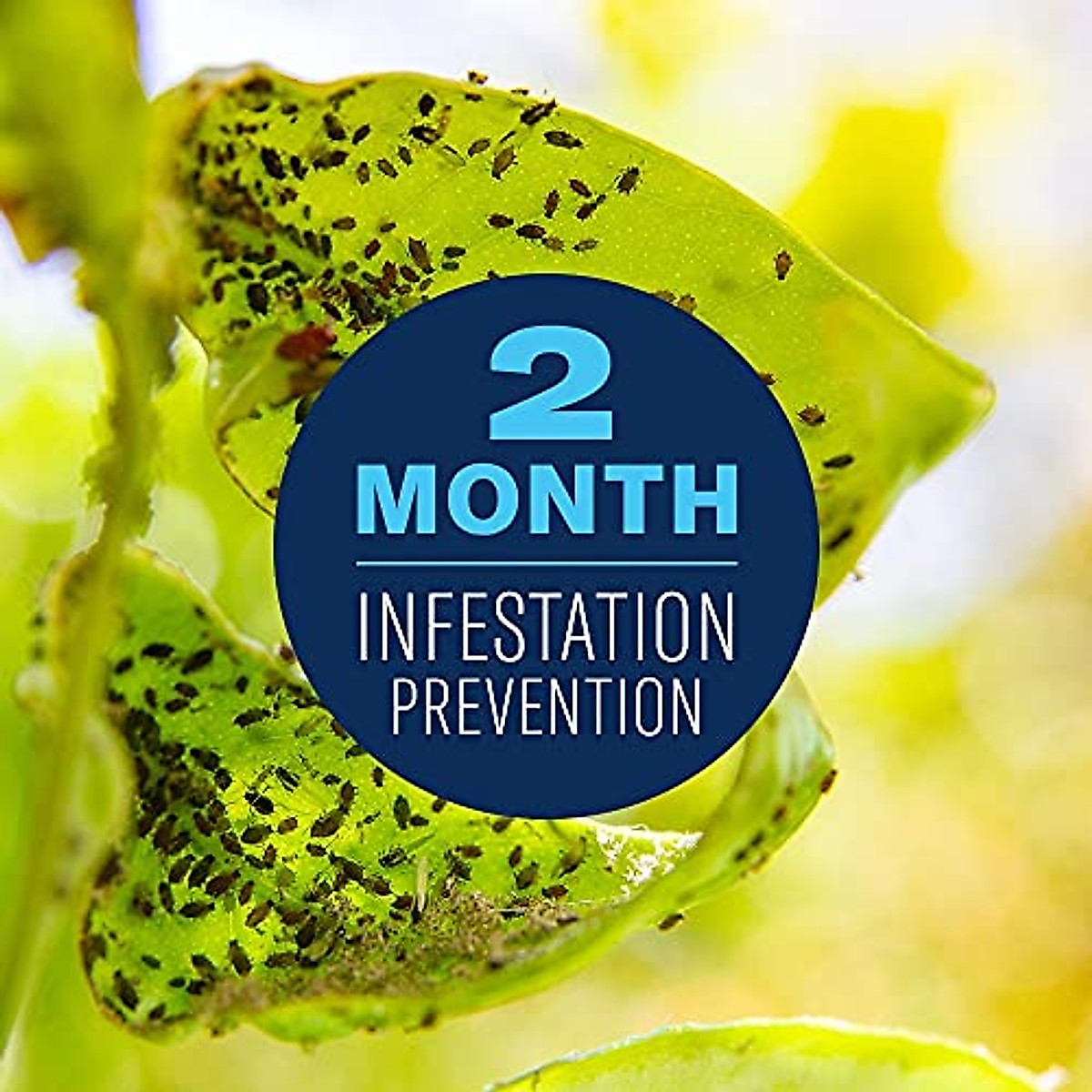 BioAdvanced Fruit, Citrus & Vegetable Insect Control, Concentrate, 32 oz