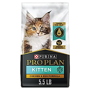 Purina Pro Plan Grain Free, High Protein, Natural Dry Kitten Food, Chicken & Egg Formula - 5.5 lb. Bag