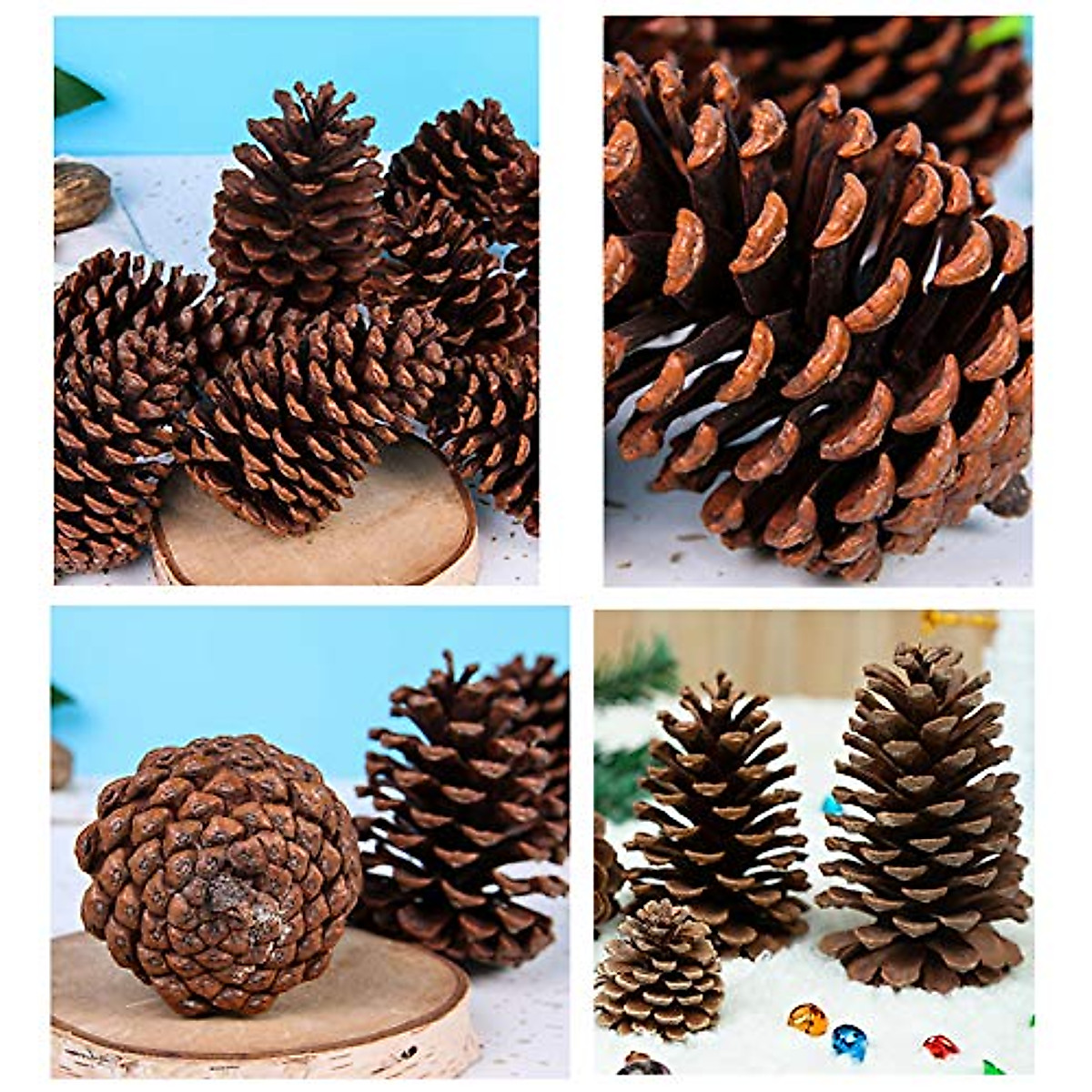 Pine Cones 3.5" to 4.7" Tall Christmas PineCones Giant Large Natural Pinecones for Home Accent Decor, 4 PCS, Bug Free (Large PineCones)