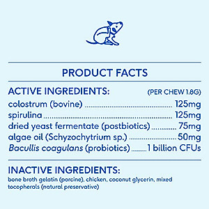 Native Pet Dog Allergy Chews – Natural Dog Skin Allergies Treatment – Anti Itch for Dogs Allergy Relief – Dog Probiotics for Itchy Skin - 60 Chews