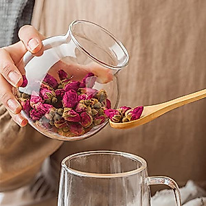 Snminetal 17oz Glass Jar Storage Containers,Wedding Candy Jar Kitchen Canisters, With Cork Airtight Lid, Perfect For Tea, Biscuits, Cereals, Flour, beans, Spices, Coffee Beans (2PCS)