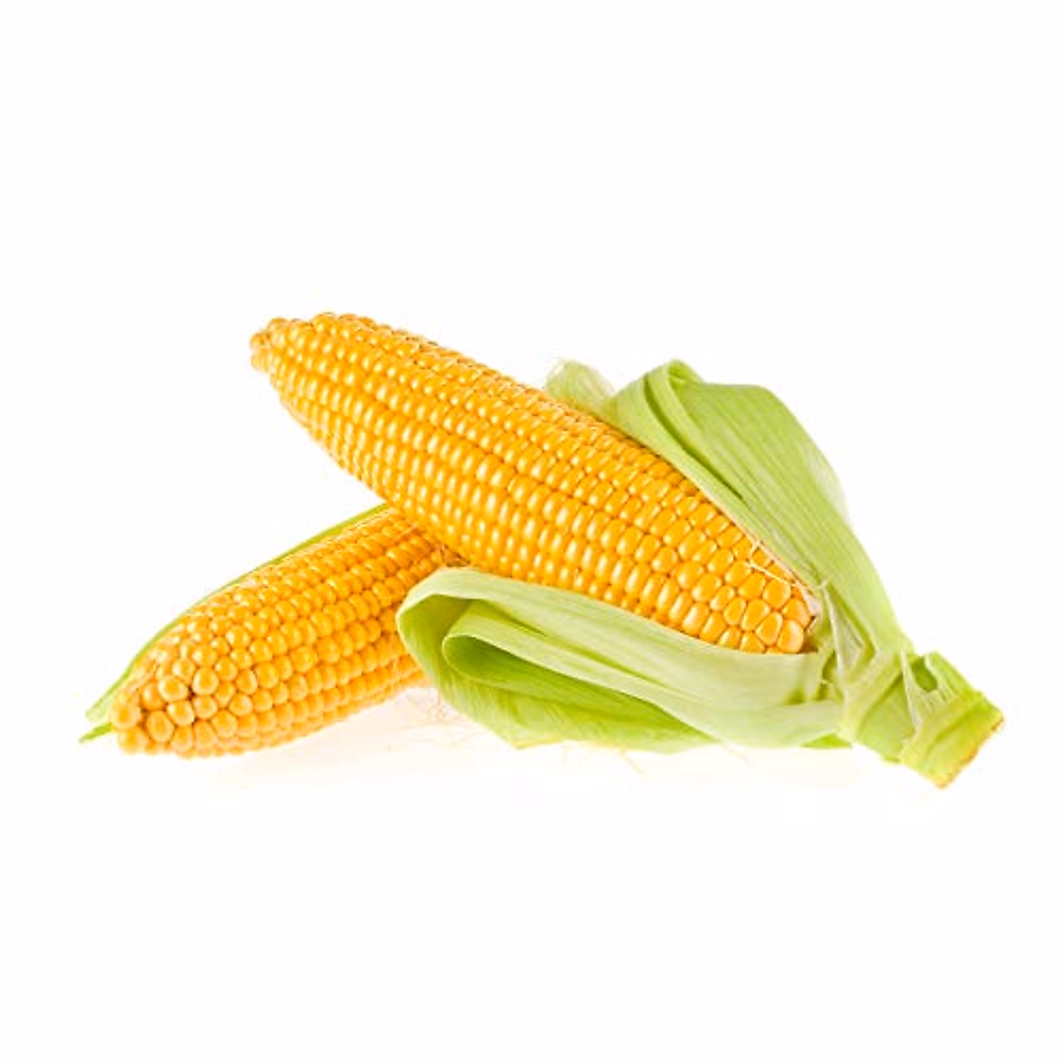 Early Sunglow Sweet Yellow Corn Seeds for Planting, 50+ Seeds Per Packet, (Isla's Garden Seeds), Non GMO Seeds, Botanical Name: Zea mays, Delicious Corn Variety, Great Home Garden Gift