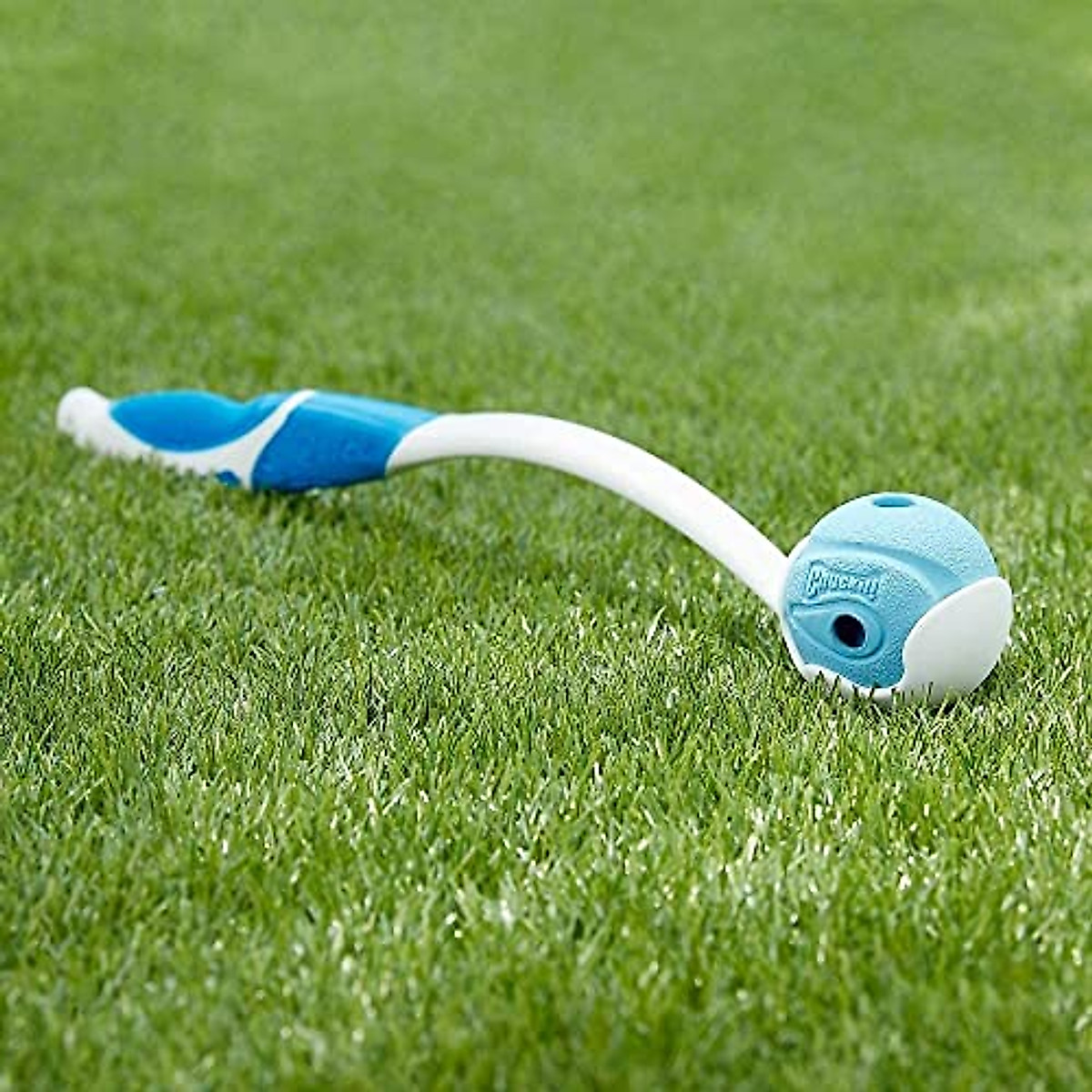 Chuckit The Whistler Ball Dog Toy, Medium (2.5 Inch Diameter) for Dogs 20-60 lbs, Pack of 2, Multicolor