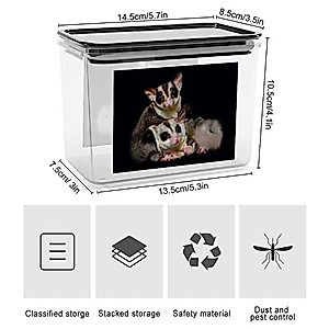 Cute Sugar Glider Storage Box Plastic Food Organizer Container Canisters with Lid for Kitchen