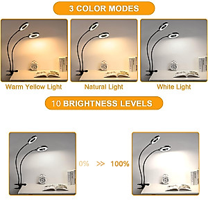 AWLYLNLL LED Desk Lamp with USB Adapter, Eye-Caring Gooseneck Ring Light, 3 Modes 10 Brightness Adjustable 10W Desk Light for Makeup Reading Bed Headboard (Metal)