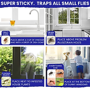 Window Fly Traps Indoor Clear 15pk Strips Indoor. The Only Double Strip Trap for Home. Paper Catchers Inside Home Flypaper House Killer Bug Catcher
