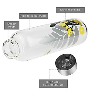 Reeho Borosilicate Glass Water Bottle, Sports Glass Drinking Bottle with Neoprene Sleeve and Stainless Steel Lid 16oz / 32oz