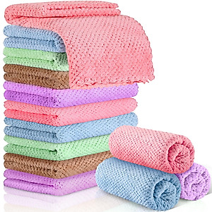 Reginary 10 Pcs Guinea Pigs Blankets Hamster Fleece Cage Liners Coral Fleece Quick Dry Soft Blankets Bedding Guinea Pig Accessories for Cat(18 x 24 Inch,Colorful)