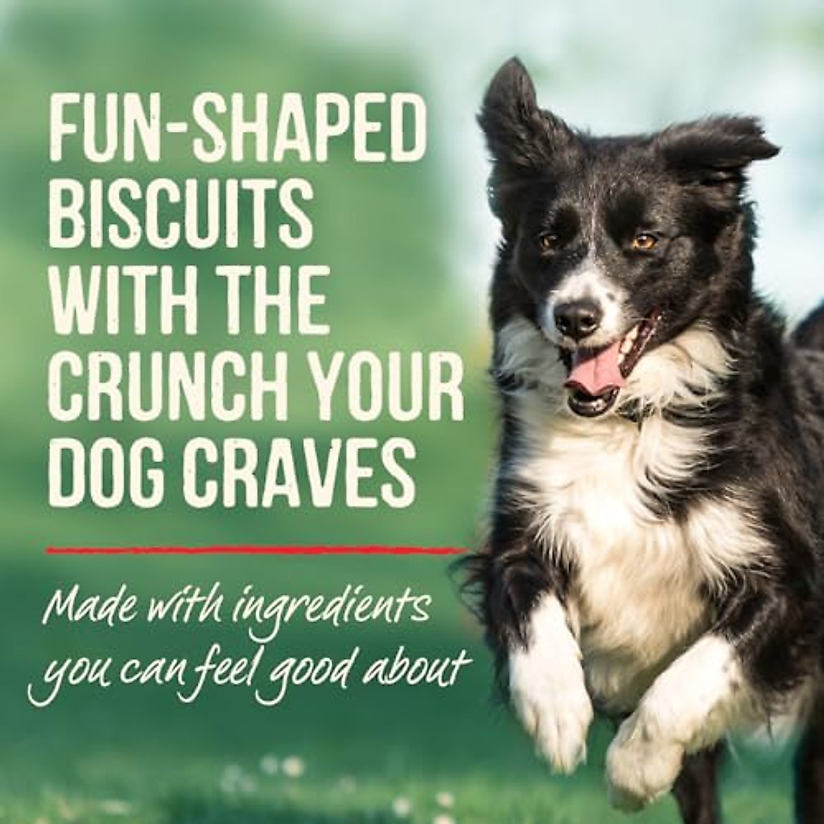 Merrick Oven Baked Dog Treats, Natural and Crunchy Bag of Treats, Pumpkin Patch with Real Pumpkin Snack - 11 oz. Bag