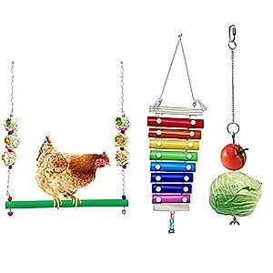 IOUH Green Swing Chicken Toy Chicken Swing Chicken Bird Xylophone Toy and Chicken Veggies Skewer Fruit Holder - Bird Chicken Feed Toys Chicken Stand Toy for Hens Bird Parrot Training Chicken coop 3PCS