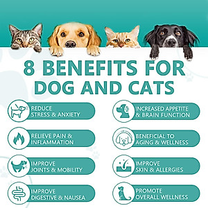 Dog Relaxants Dog Herbal Supplements Oil for Dogs Hip and Joint Support