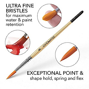 Watercolor Paint Set for Adults, Kids, Beginner & Professional Artists. With Paper, 9 Brushes, Palette, Aqua-pen, Tape, Video Tutorial Series. Watercolor Tubes. Art Supplies - 62 Piece Set