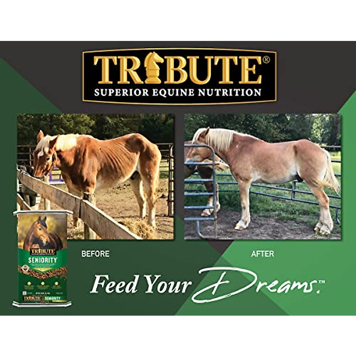 TRIBUTE Kalmbach Feeds Seniority Pellet
