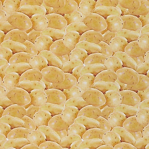 Mook Fabrics Maritime Fabric [45 in. Wide] – Lightweight, 100% Cotton Material for Quilting, Home Decor Accents | Arts, Crafts & Sewing, Yukon Gold Potatoes Cut by The Yard