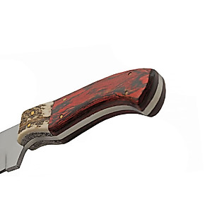 Redtail Stainless Steel Blade Wood Handle Stag Bolster 9 inch Hunting Knife