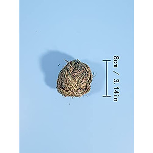 QWINEE Rabbit Chew Grass Ball Chewable Teeth Care Activity Play Toys for Bunny Rabbits Hamsters Guinea Pigs Gerbils Multicolor One Size