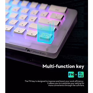 GK GAMAKAY K61 Pro 60% RGB Gasket Mechanical Keyboard, Bluetooth/USB-C Wired/2.4GHz Wireless 61 Keys Hot Swap Gaming Keyboard with CNC Acrylic Base Pudding PBT/ABS Keycaps (Gateron Red Switch)