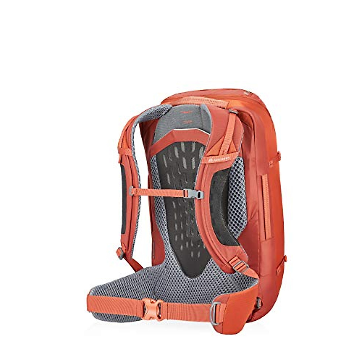 Gregory Men's Backpack, Orange (Ferrous Orange), One Size