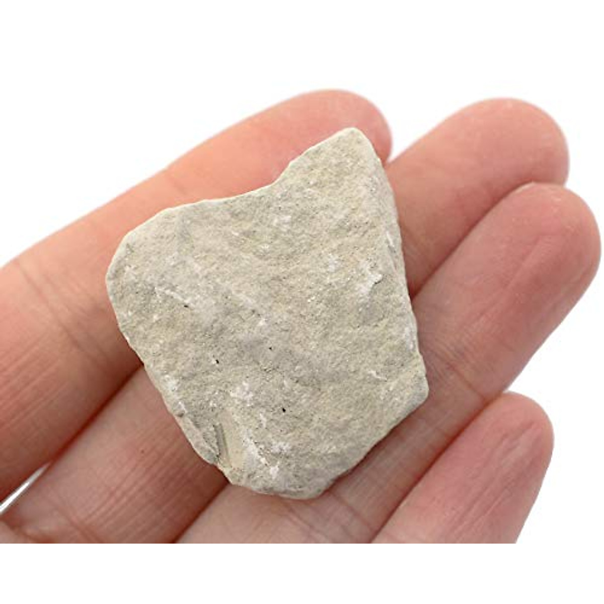 Raw Limestone Chalk, Sedimentary Rock Specimen - Approx. 1" - Geologist Selected & Hand Processed - Great for Science Classrooms - Eisco Labs