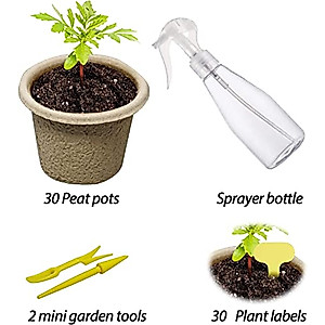 TCBWFY 4" Peat Pots for Seedlings Seed Starting Trays Pulp Plant Pots for Seedlings 30 Pack,Seed Starter Nursery Pots Seedling Pots for Vegetables Herbs Small Planting Pots