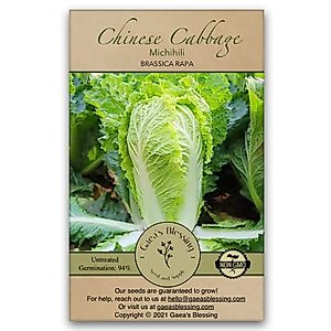 Gaea's Blessing Seeds - Chinese Cabbage Seeds - Michihili Heirloom - Non-GMO Seeds with Easy to Follow Planting Instructions - Open-Pollinated High Yield Heirloom 94% Germination Rate