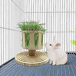 Tfwadmx Rabbit Wooden Hay Feeder Guinea Pig Hay Holder Bunny Less Wasted Food Dispenser with Cleaning Set for Chinchilla Hamster Ferret Small Animals