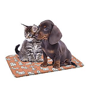 Washable Pee Pads for Dogs and Cats - Reusable Puppy Pads for Training, Super Waterproof Mat for Dog Play, Anti Slip Pad for Crate Indoor, 31.5 x 55.12 inch, 1pcs, Puppies