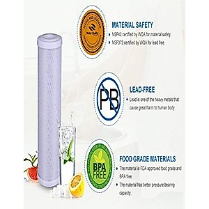 CFS – 2 Pack Carbon Block Water Filter Cartridges Compatible with FXWTC, 3WH-STDCW-F02, GXWH04F, GXWH20S Models – Remove Bad Taste & Odor – Whole House Replacement Filter Cartridge