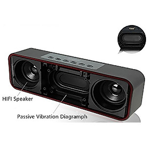 Portable Bluetooth Stereo Speaker, 10W Acoustic Drivers, Dual Subwoofer, FM Radio & Handsfree Speakerphone, Micro SD Card & USB & AUX Slots for Smart Phone, MP3, MP4, iPad, Tablet & More